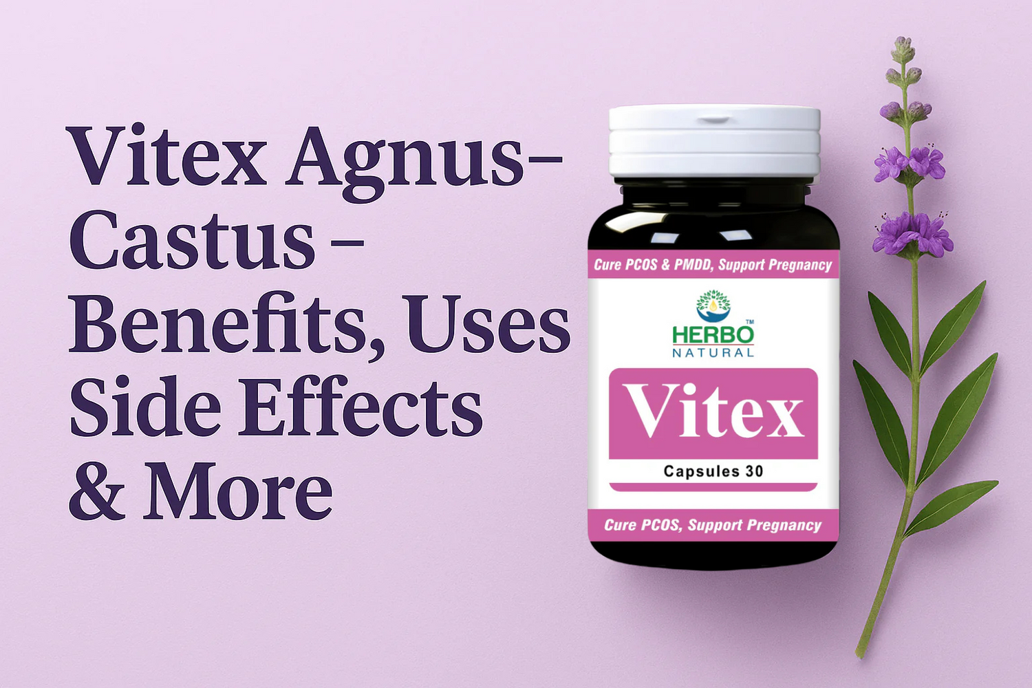 Vitex Agnus-Castus Benefits for Hormones, PMS & Fertility – Herbo Natural